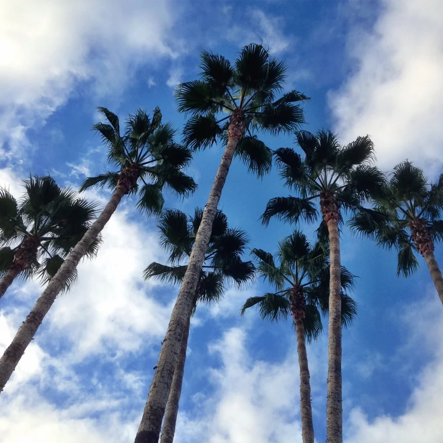 Our Firm - Swerdlow Florence Sanchez Swerdlow Wimmer